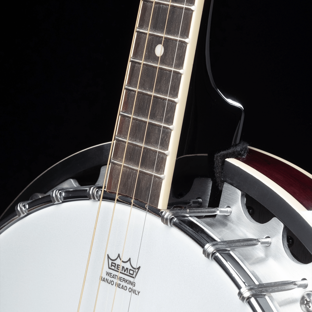 Clareen Bridge Banjo | 17 fret with Hard Case - Hugh Culloty, Tralee, Kerry